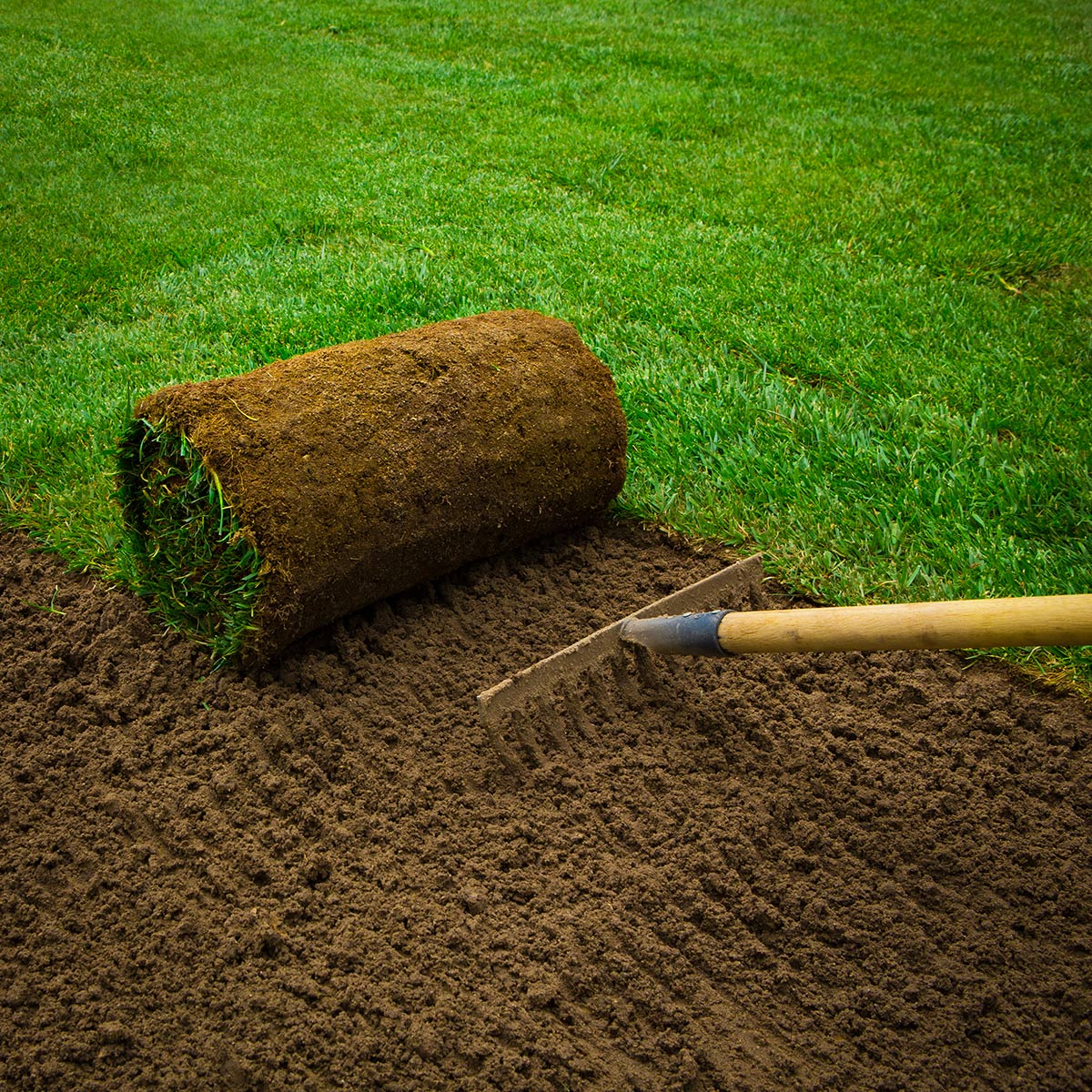 Gulf Coast Turf – Turf & Sod in Panma City Florida